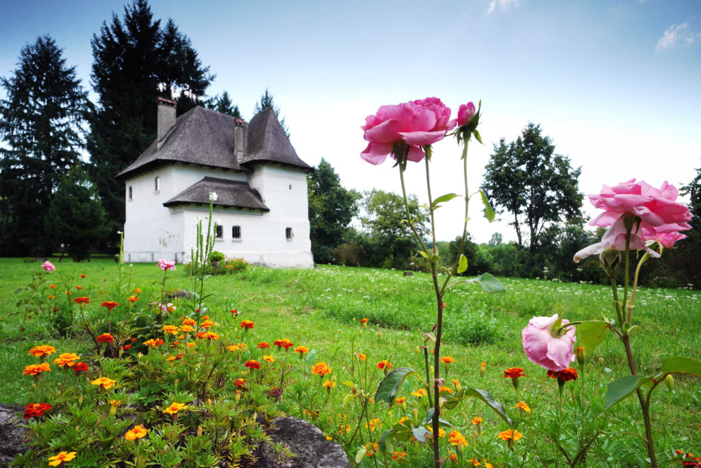 Cula Greceanu - Cule In Lumina